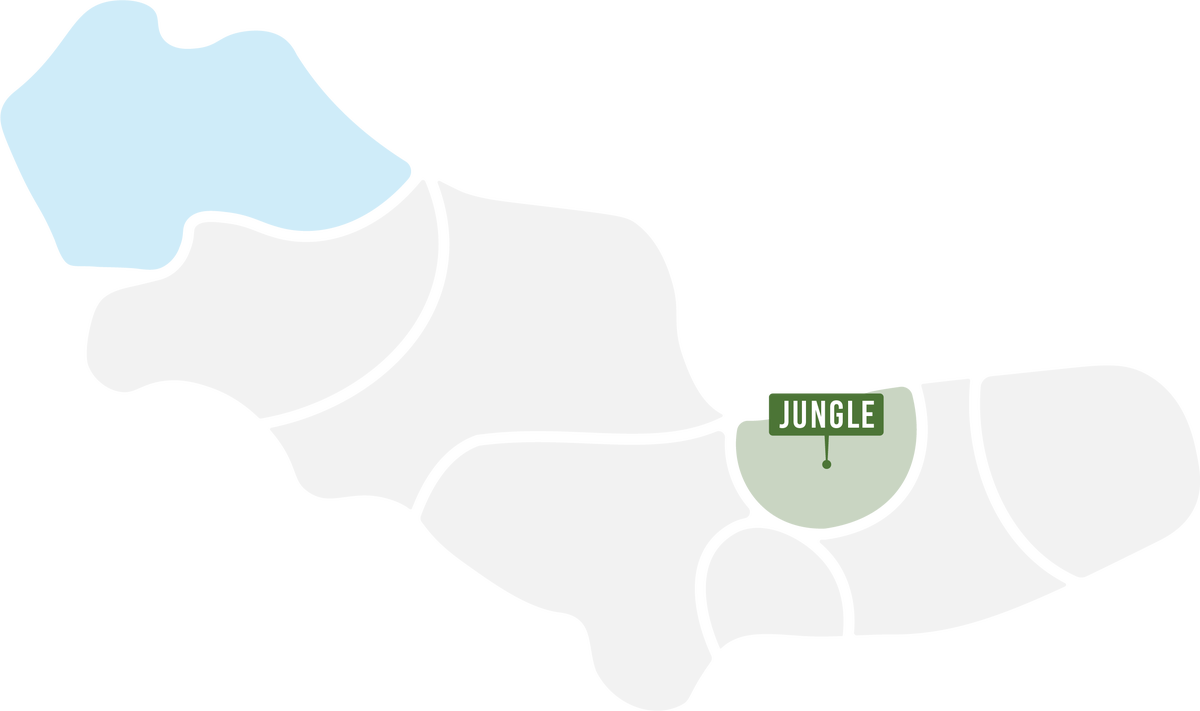 Jungle Mission